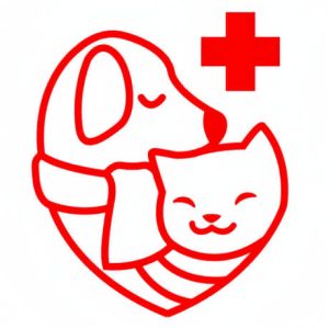 Block Head vs. Slender Head Golden Retriever: All the Differences You ...