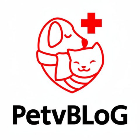 Overbite in Dogs: Causes, Symptoms, and Treatment Plans | Pet BLoG